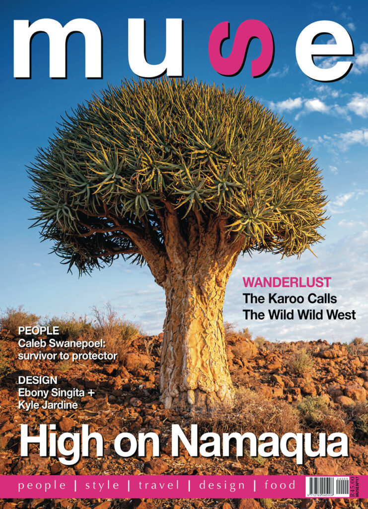 Magazine Read - MUSE